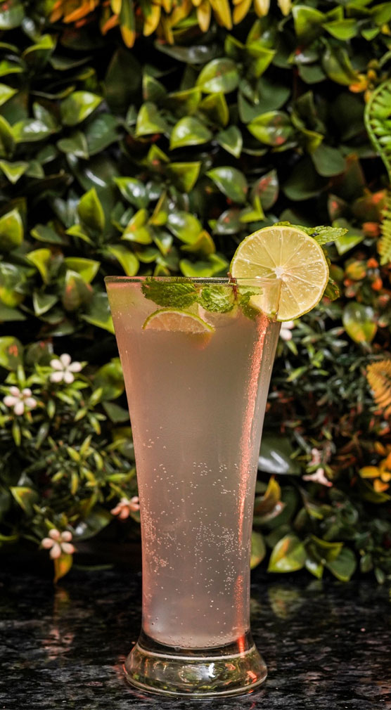 Gallery - Ice & Spice